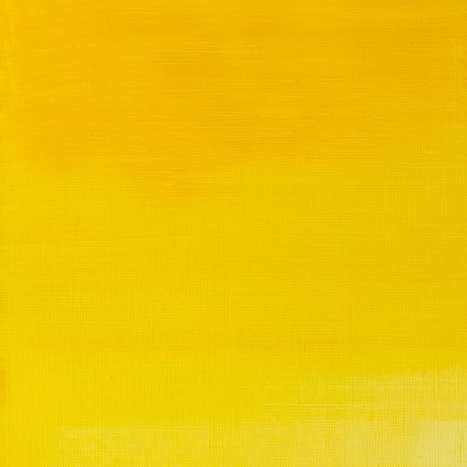 Cadmium Yellow Pale Hue (Winsor & Newton Artisan Water Mixable Oil ...