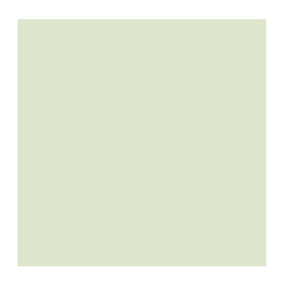 Naples Yellow Green 282 (Rembrandt Oil Colour) – Alabama Art Supply